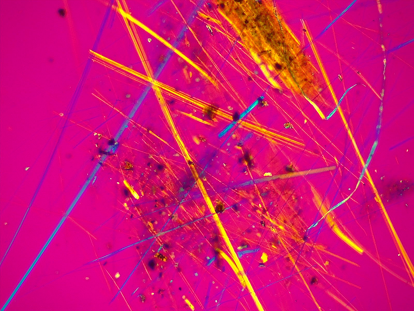 Asbestos Testing & Analysis | Pinnacle Laboratory